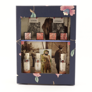 Castaway (2023) – Frank Turek's Boxed Assemblage Art